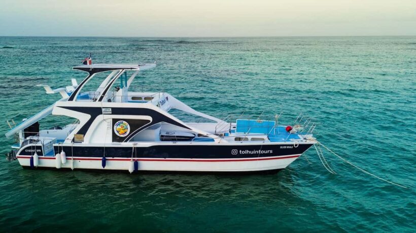 Punta Cana: Private Catamaran Cruise, Snorkeling & Open bar - What Travelers Are Saying