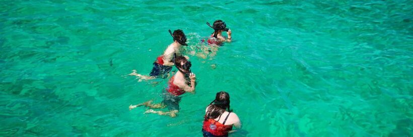 Punta Cana: Private Catamaran Cruise, Snorkeling & Open bar - Who Will Enjoy This Tour?