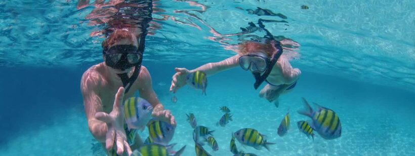 Punta Cana Private Catamaran (Small Group) - The Experience in Detail