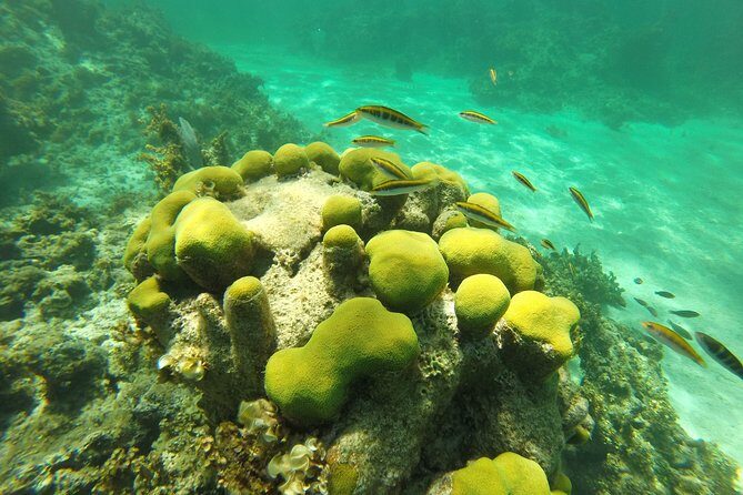 Punta Cana Private Cruise up to 10 people - FAQ