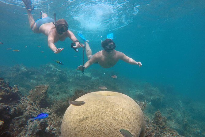 Punta Cana Private Cruise Up To 10 Snorkeling & Seafood lunch - Introduction