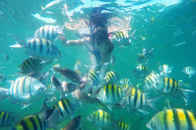 Punta Cana Private Cruise Up To 10 Snorkeling & Seafood lunch - Practical Details and What to Expect