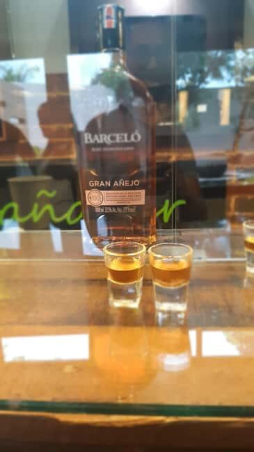 Punta Cana: Private Dominican Flavors Cultural Half-Day Trip - An In-Depth Look at the Tour Experience