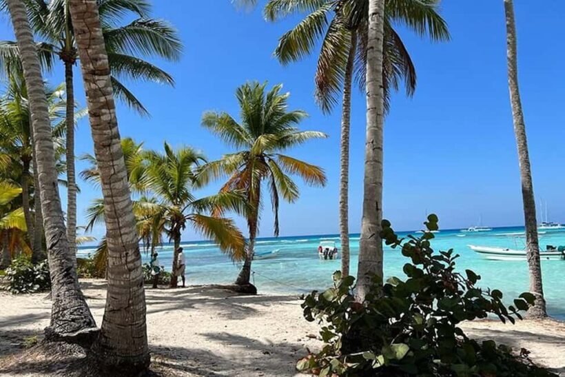 Punta Cana: Private Higüey Safari Tour w/ Lunch & Beach Time - A Deep Dive into the Tour Experience