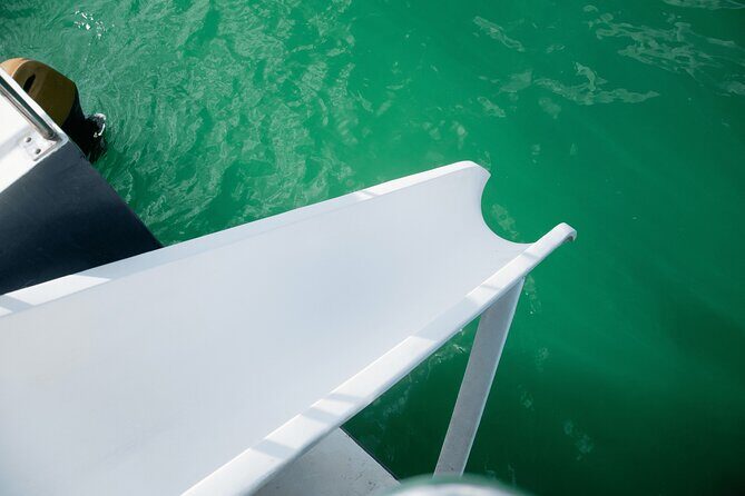 Punta Cana Private Mega Catamaran Tour with Snorkeling and Bar - The Sum Up