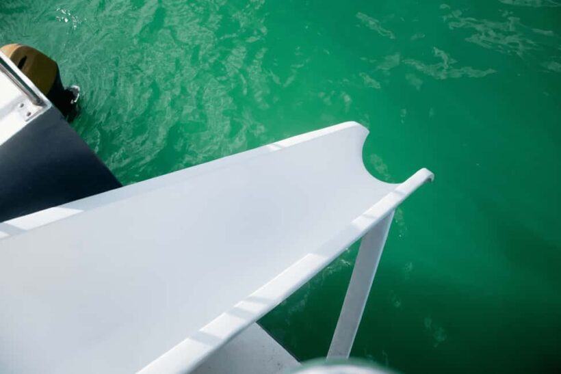 Punta Cana Private Mega Catamaran Tour with Snorkeling & Bar - Final Thoughts