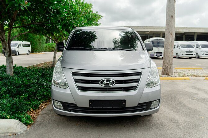 Punta Cana Private One-Way or Round-Trip Airport Transfers - Why This Transfer Works Well