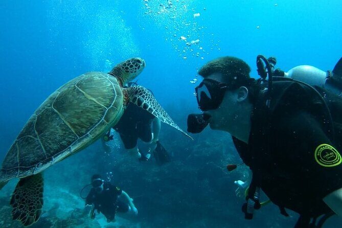 Punta Cana Reef Diving Adventure Explore Underwater Wonders - A Closer Look at the Experience