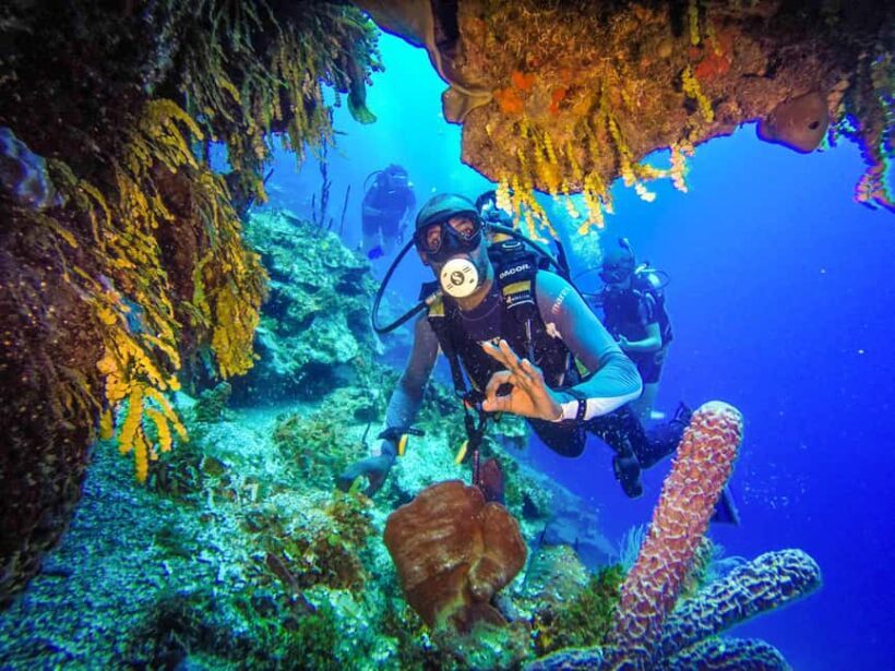 Punta Cana: Reef Diving Adventure Explore Underwater Wonders - Key Points