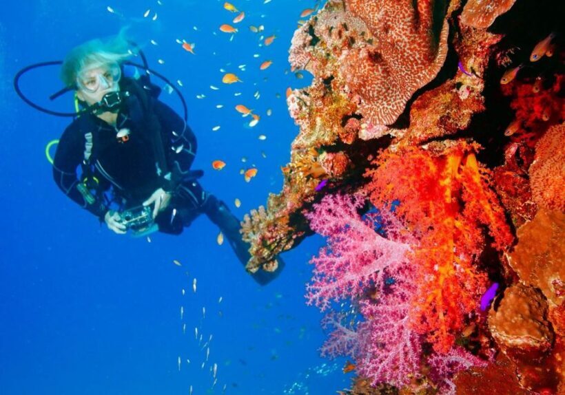 Punta Cana: Reef Diving Adventure Explore Underwater Wonders - Frequently Asked Questions