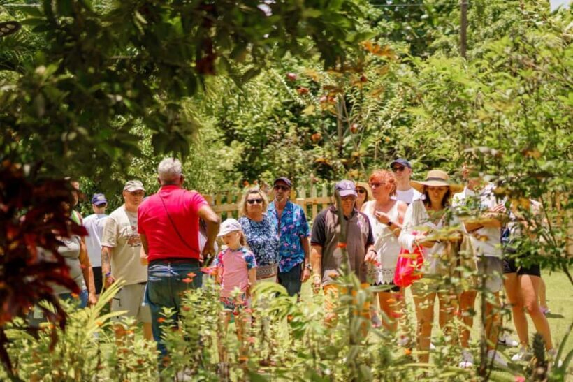 Punta Cana safari experience and historical city tour - Final Thoughts: Is This Tour Right for You?