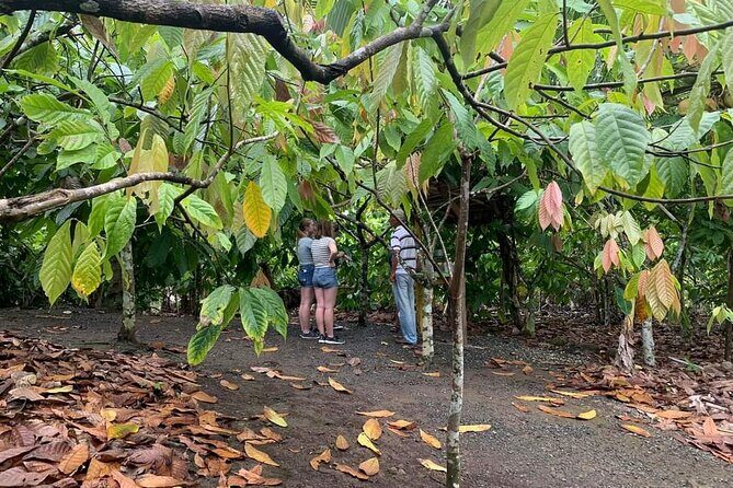 Punta Cana Safari Tour - Authentic Experiences and Traveler Feedback