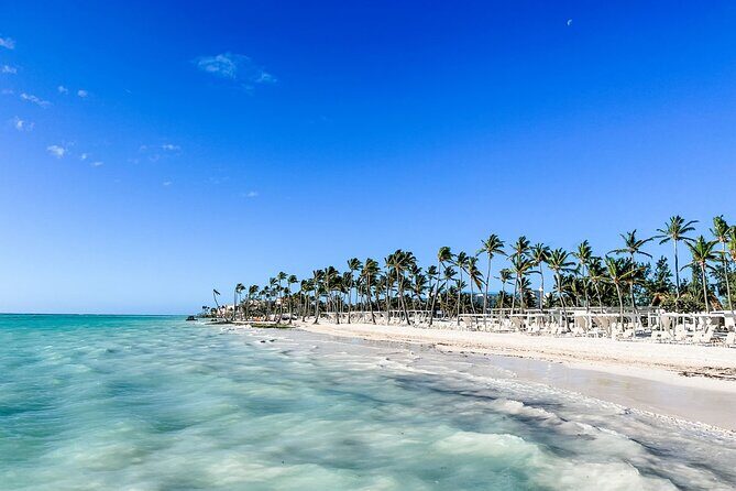 Punta Cana: Samaná Cayo Levantado (Bacardi) & Limon Falls - Logistics and Practicalities