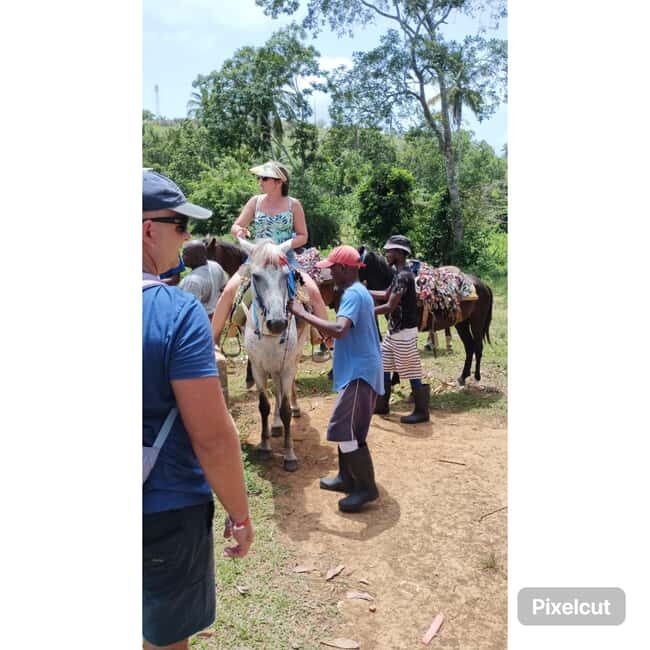 Punta Cana: Samaná Cayo Levantado & El Limón Waterfall Tour - What Could Be Better?