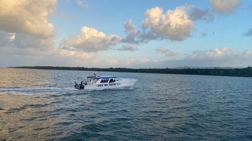 Punta Cana: Samana Cayo Levantado & Limón Waterfall - Returning and Reflecting