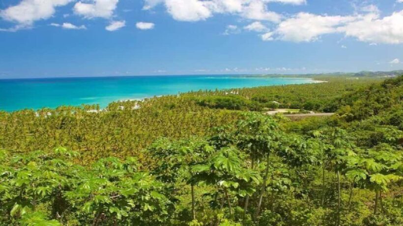 Punta Cana: Samaná Day Trip with El Limón & Bacardí Island - Exploring Cayo Levantado (Bacardí Island)