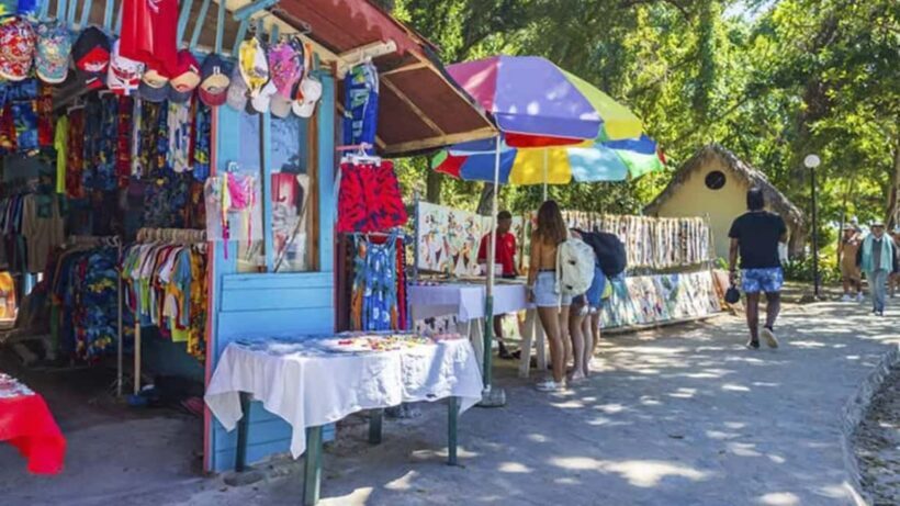 Punta Cana: Samaná Day Trip with El Limón & Bacardí Island - The Value and Who Will Love It