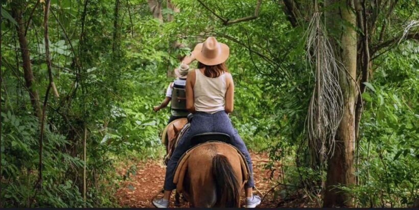 Punta Cana: Samaná Day Trip with El Limón Waterfall - Key Points