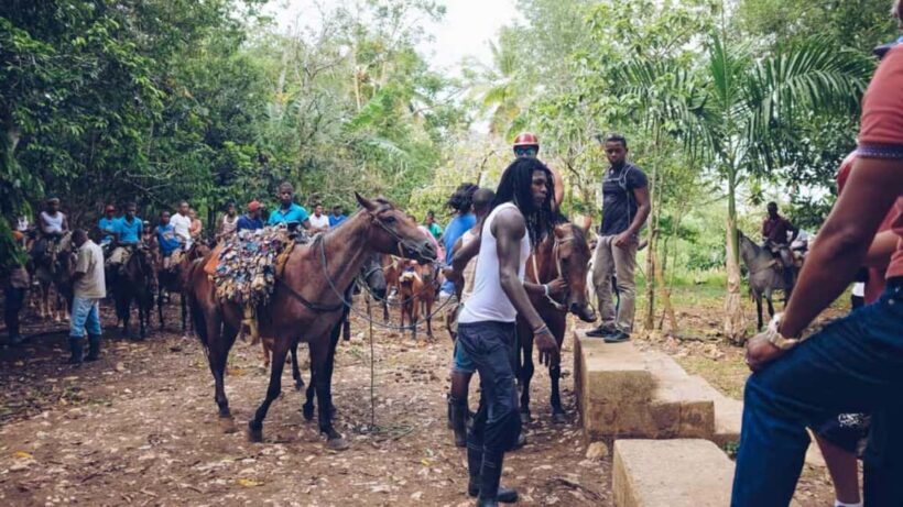 Punta Cana: Samana Full Day Trip Whale Cascada El Limon - Who Will Love This Tour?