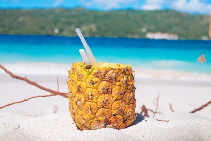 Punta Cana: Samana Full Day Trip Whale Cascada El Limon - Final Thoughts: Is It Worth It?