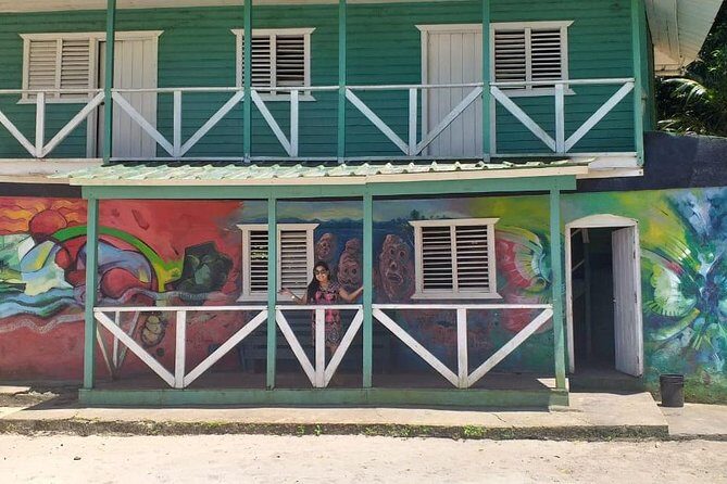 Punta Cana: Samaná, Lemon Falls and Bacardi Island - Transport and Group Size