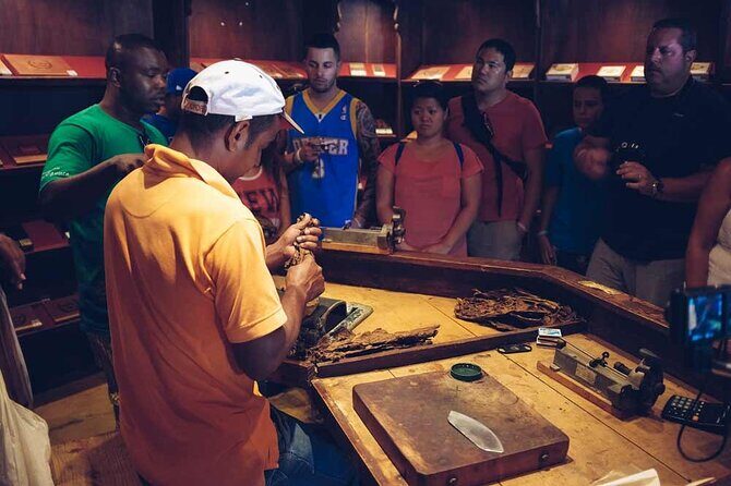 Punta Cana: Samaná, Lemon Falls and Bacardi Island - Authentic Experiences and Reviews