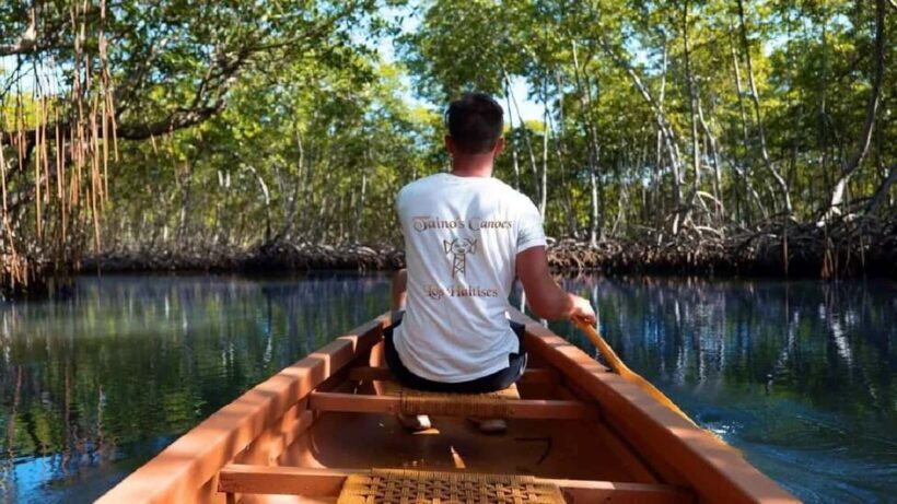 Punta Cana: Samaná Peninsula & Cayo Levantado Day Trip - An In-Depth Look at the Tour Experience