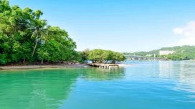 Punta Cana: Samaná Peninsula & Cayo Levantado Day Trip - The Sum Up