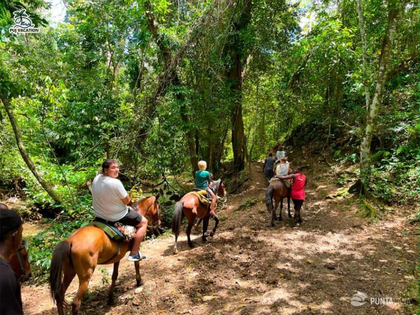 Punta Cana: Samana safari between waterfalls and beaches - Discover the Samana Safari: An Authentic Day Out from Punta Cana