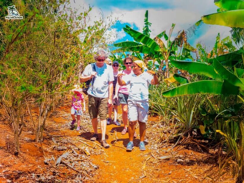 Punta Cana: Samana safari between waterfalls and beaches - Transportation and Group Size