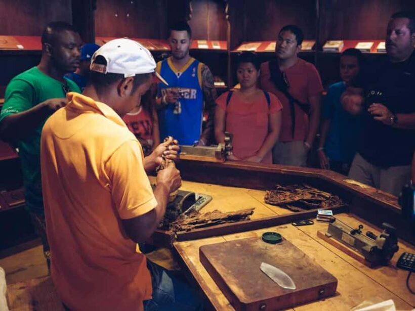 Punta Cana: Samaná Whale Watching and El Limón Day Tour - Final Thoughts