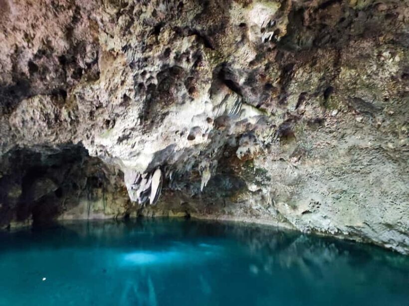 Punta Cana: Santo Domingo Day Trip with Columbus Lighthouse - Price and Value