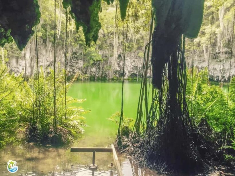 Punta Cana: Santo Domingo Private Day Trip with Lunch - The Sum Up