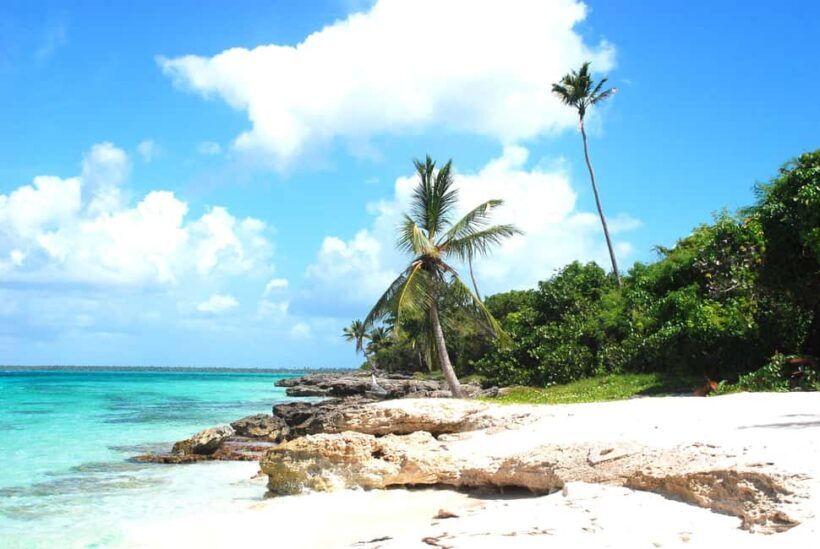 Punta Cana: Saona Crusoe VIP - Who Is This Tour Best For?