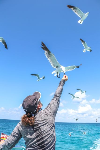 Punta Cana: Saona Island All Included Open Bar Catamaran - FAQ