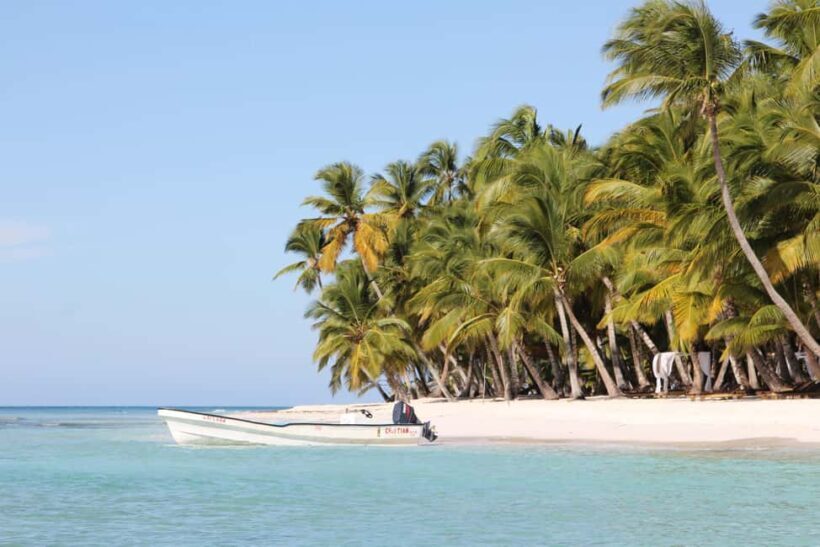 Punta Cana: Saona Island and Altos de Chavón Day Trip - An In-Depth Look at the Tour Experience