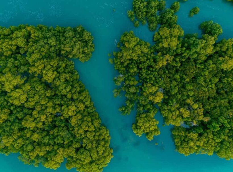 Punta Cana: Saona Island and Chavón River Combo with Guided Tours - A Complete Look at the Tour