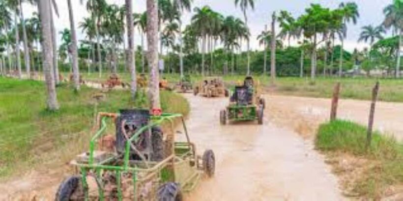 Punta Cana: Saona Island & Buggy Adventure 2-Day Tour - Final Thoughts