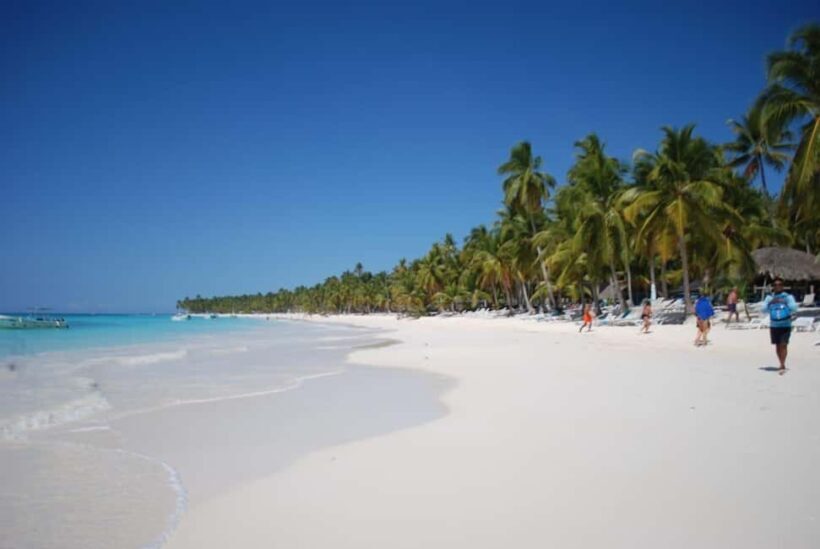 Punta Cana: Saona Island Catamaran Deluxe Cruise with Lunch - Who Will Love This Tour?