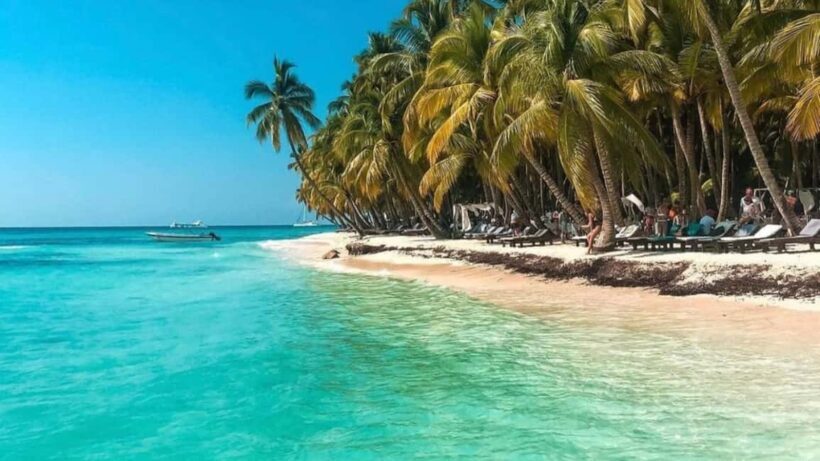 Punta Cana: Saona Island Catamaran Food Drink With Transport - The Sum Up: Who Will Love This Tour?