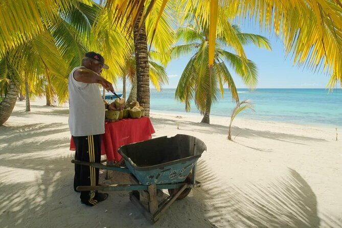 Punta Cana: Saona Island Catamaran Open Bar / Food Hotel Pickup - Food and Drinks