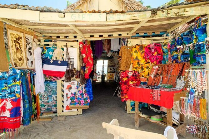 Punta Cana: Saona Island Catamaran Open Bar / Food Hotel Pickup - Who Should Consider This Tour?