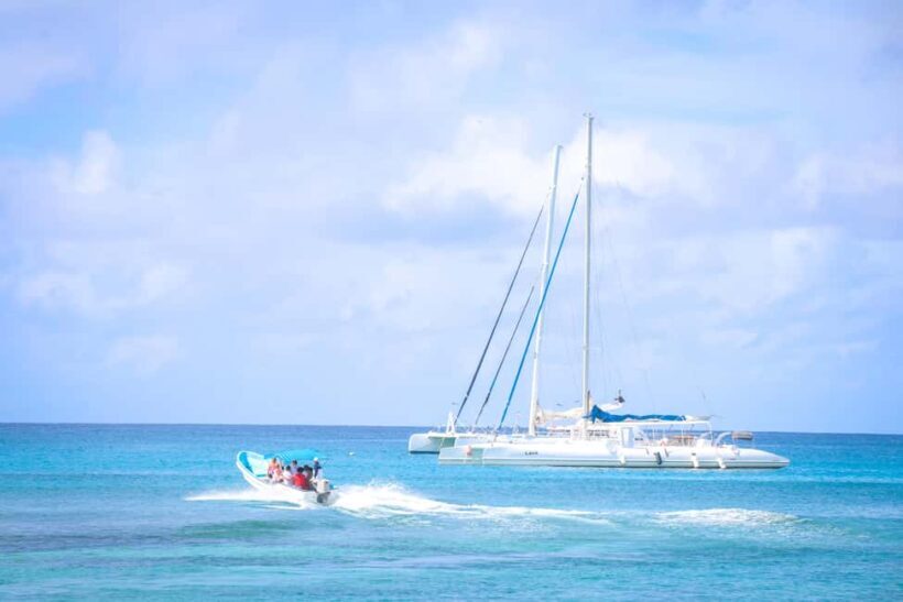 Punta Cana: Saona Island Catamaran - A Closer Look at the Tour Itinerary and Experiences