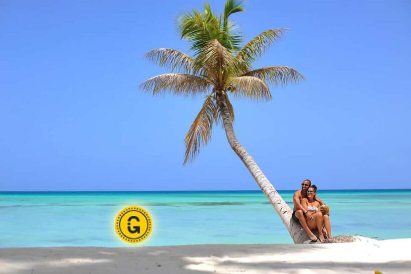 Punta Cana: Saona Island Day Tour and Catamaran Party - Key Points