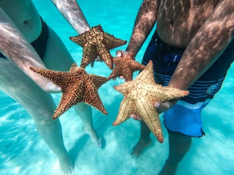 Punta Cana: Saona Island Day Tour and Catamaran Party - Practicalities and Considerations