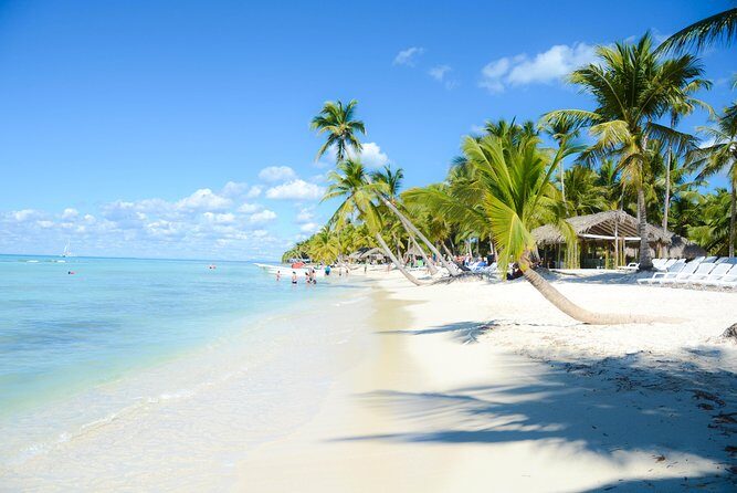 Punta Cana : Saona Island Day Tour - The Sum Up: Is It Worth It?