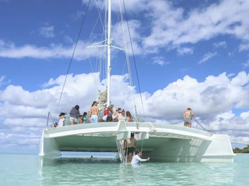 Punta Cana: Saona Island Day Trip with Blue Lagoon & Lunch - Key Points