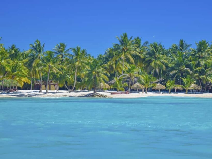 Punta Cana: Saona Island Day Trip with Blue Lagoon & Lunch - The Value of the Experience