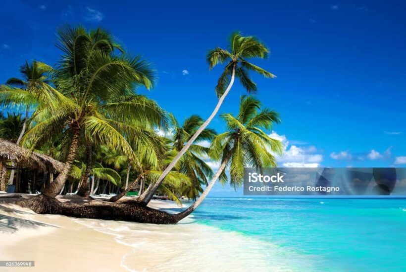 Punta Cana: Saona Island Day Trip with Catamaran Cruise - Authenticity and Traveler Feedback