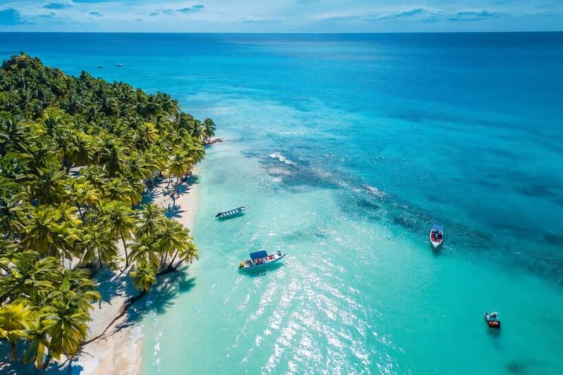 Punta Cana: Saona Island Day Trip with Lunch & Drinks - The Sum Up